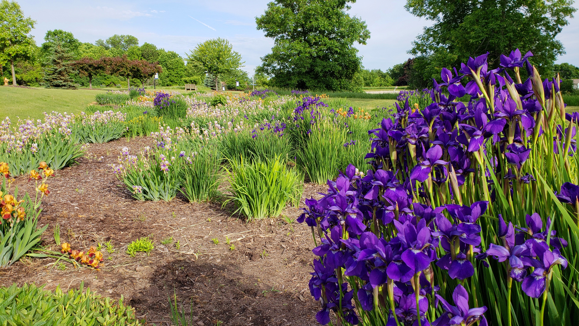 Earth Tour now available in video - Sisters of St. Francis of the Holy ...